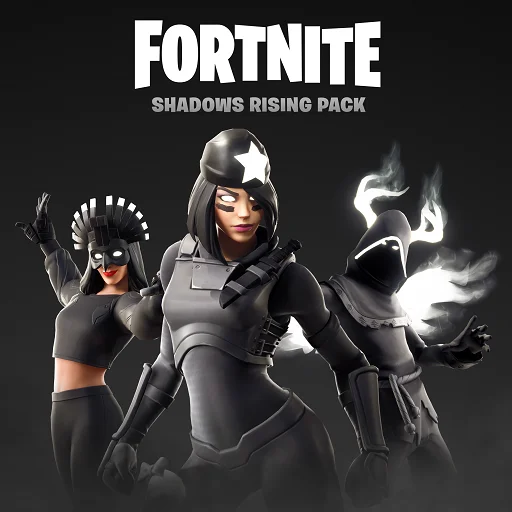 ⫷ Fortnite Perfect Shadow Skin ⫸ Characters & Skins 👕 ᑕ ᑐnite.site